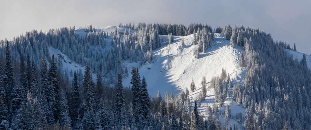 Community Support - Vail Resorts